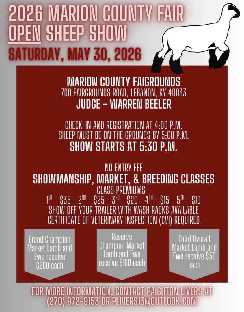Marion County Fairgrounds Open Sheep Show - Visit Lebanon Kentucky ...